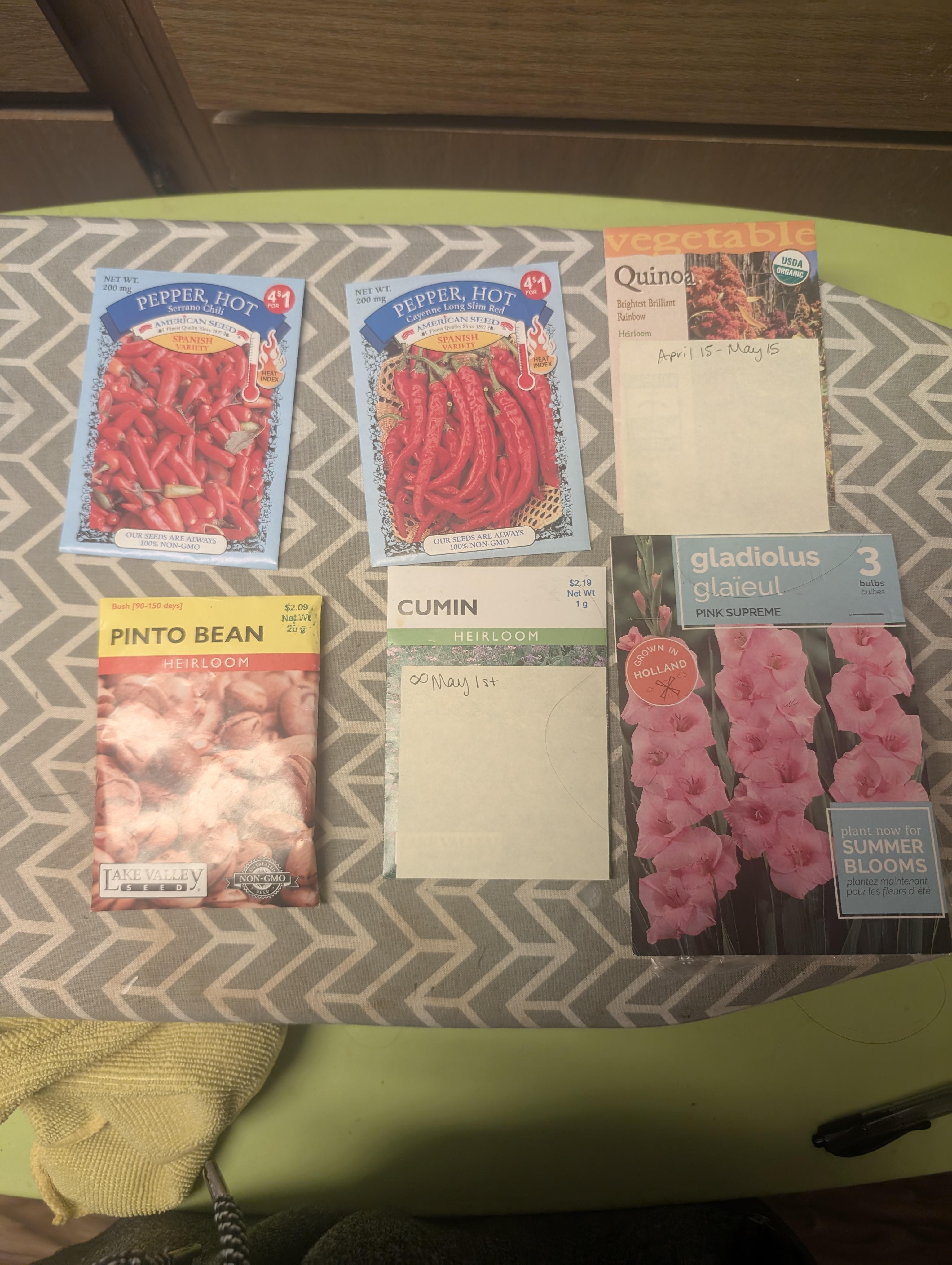 Winter surprises – Lisa Ledbetter
