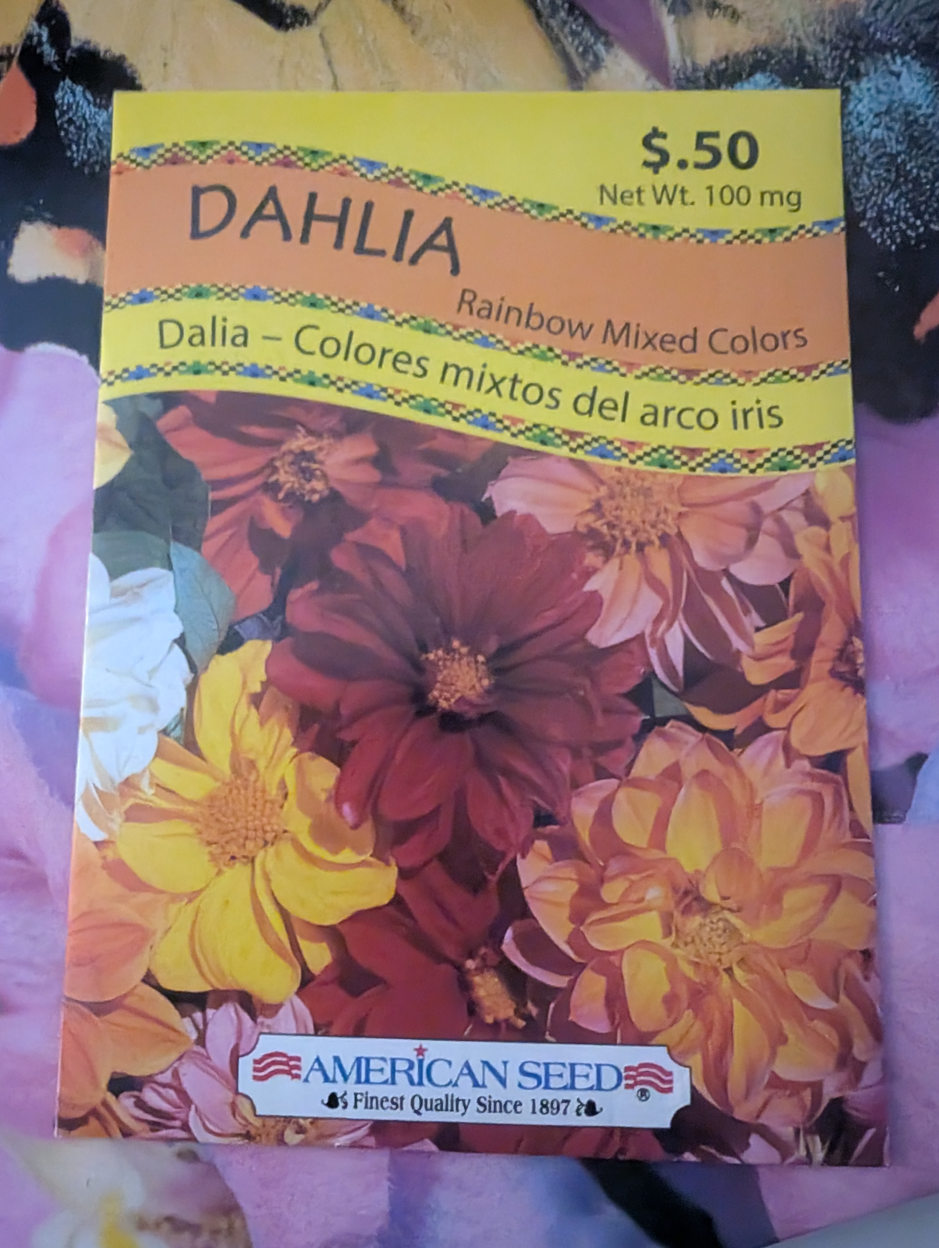 Winter surprises – Lisa Ledbetter