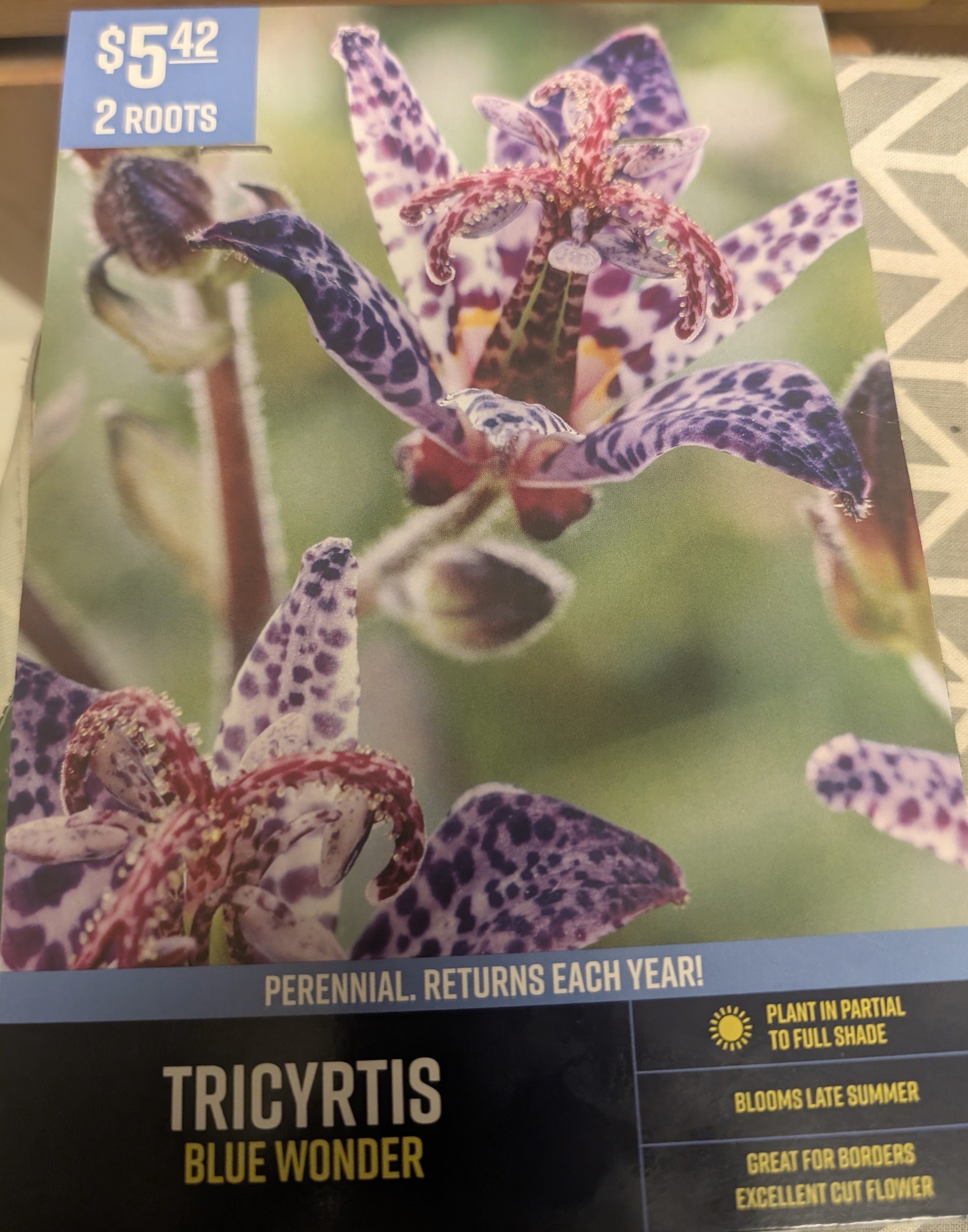 The end of winter – Lisa Ledbetter