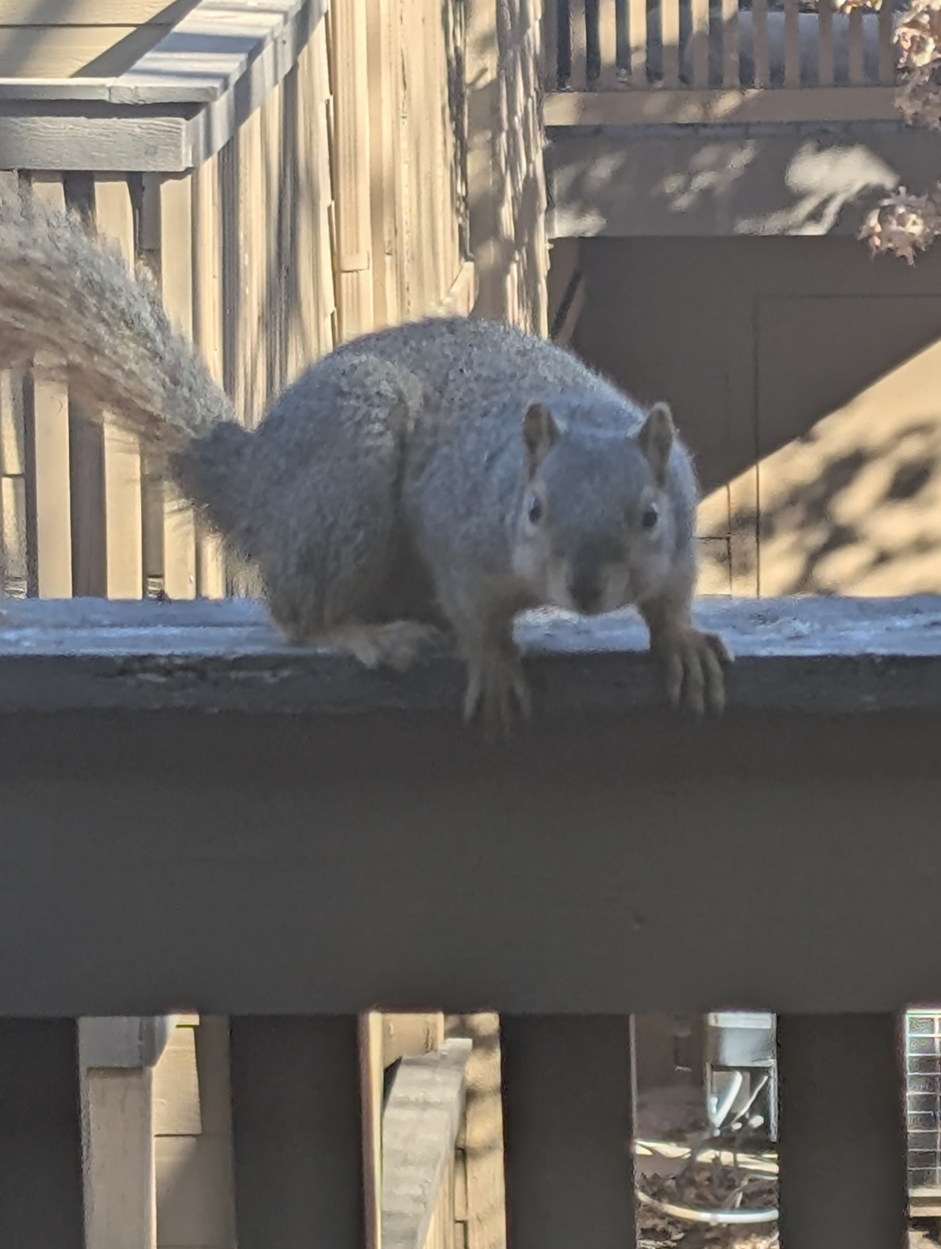 Seedlings – Lisa Ledbetter